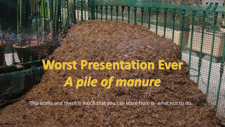 Worst Presentation Ever: Harvard Professor • George Torok